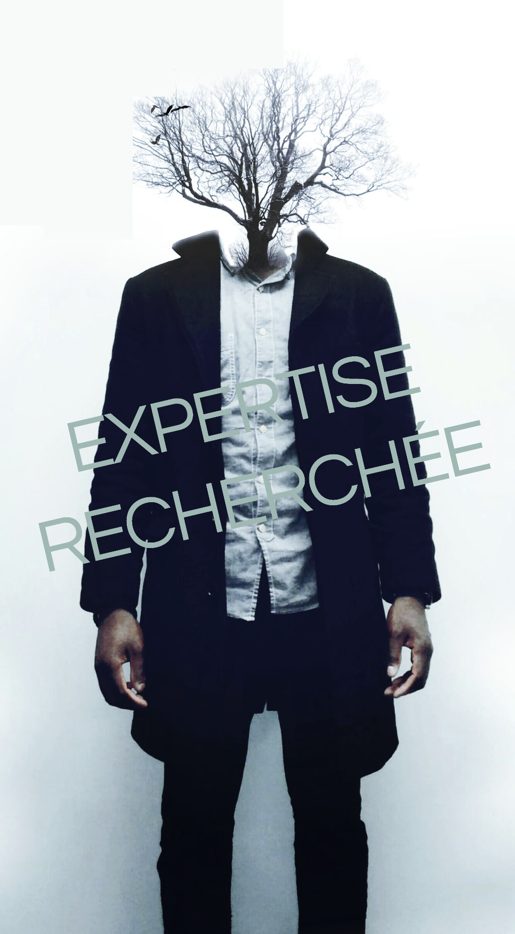 À propos de nous – Carrefour jeunesse-emploi de la MRC Deux-Montagnes